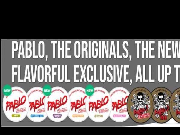 SEOFaktor Website Analyse